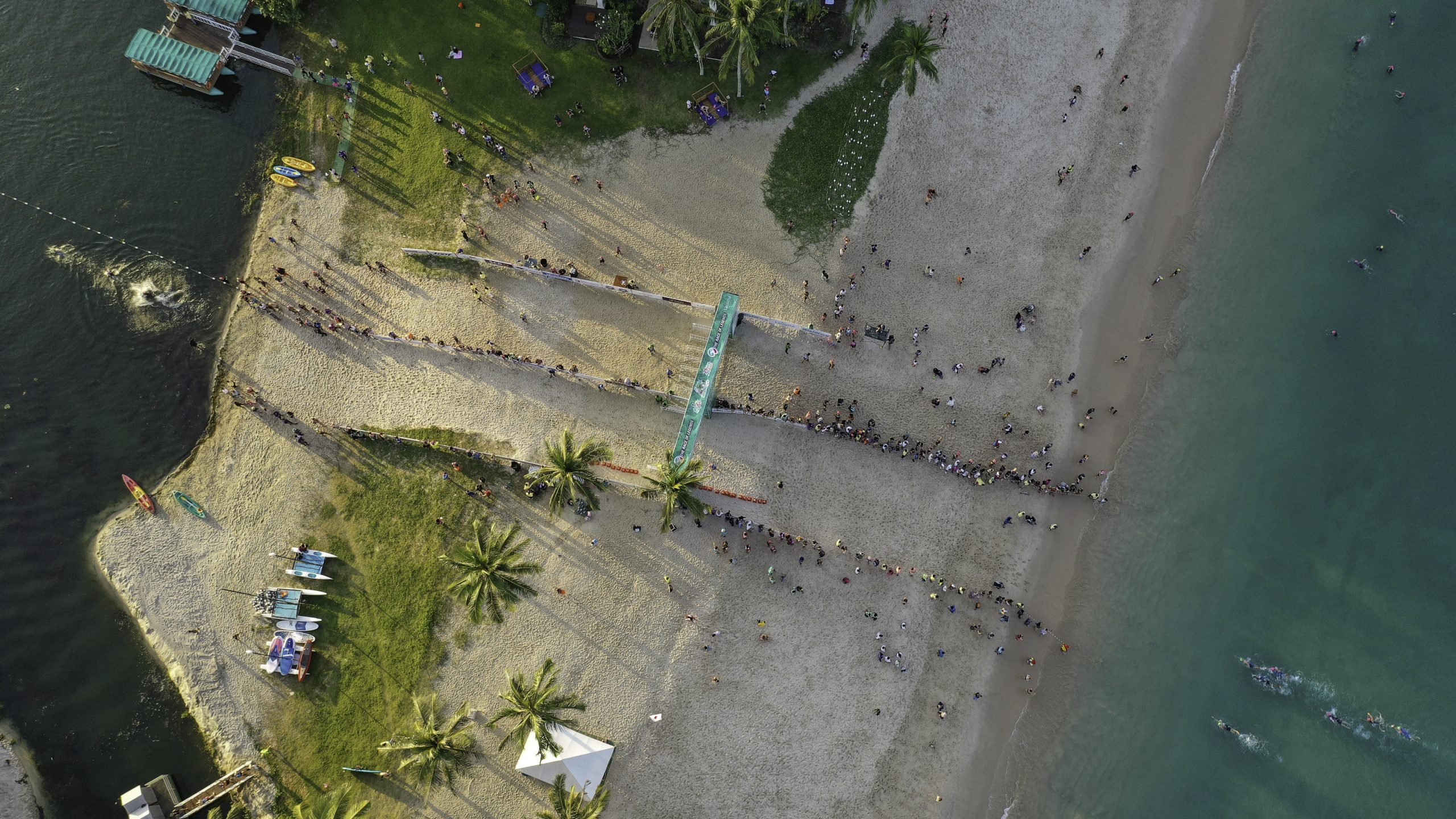 Wishing Tree: An Artistic Installation Reflecting the Essence of ...